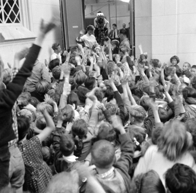 Gallery: Dappere Dodo - B&G Wiki